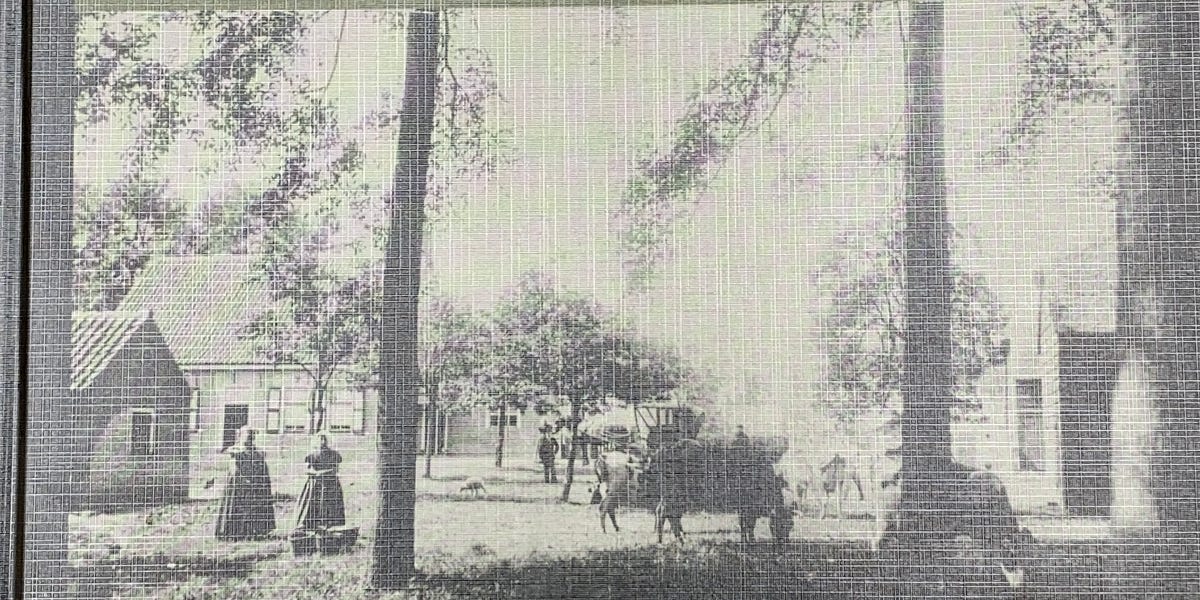 Letter #5 from a Learn-it-all - by Jen Vermet